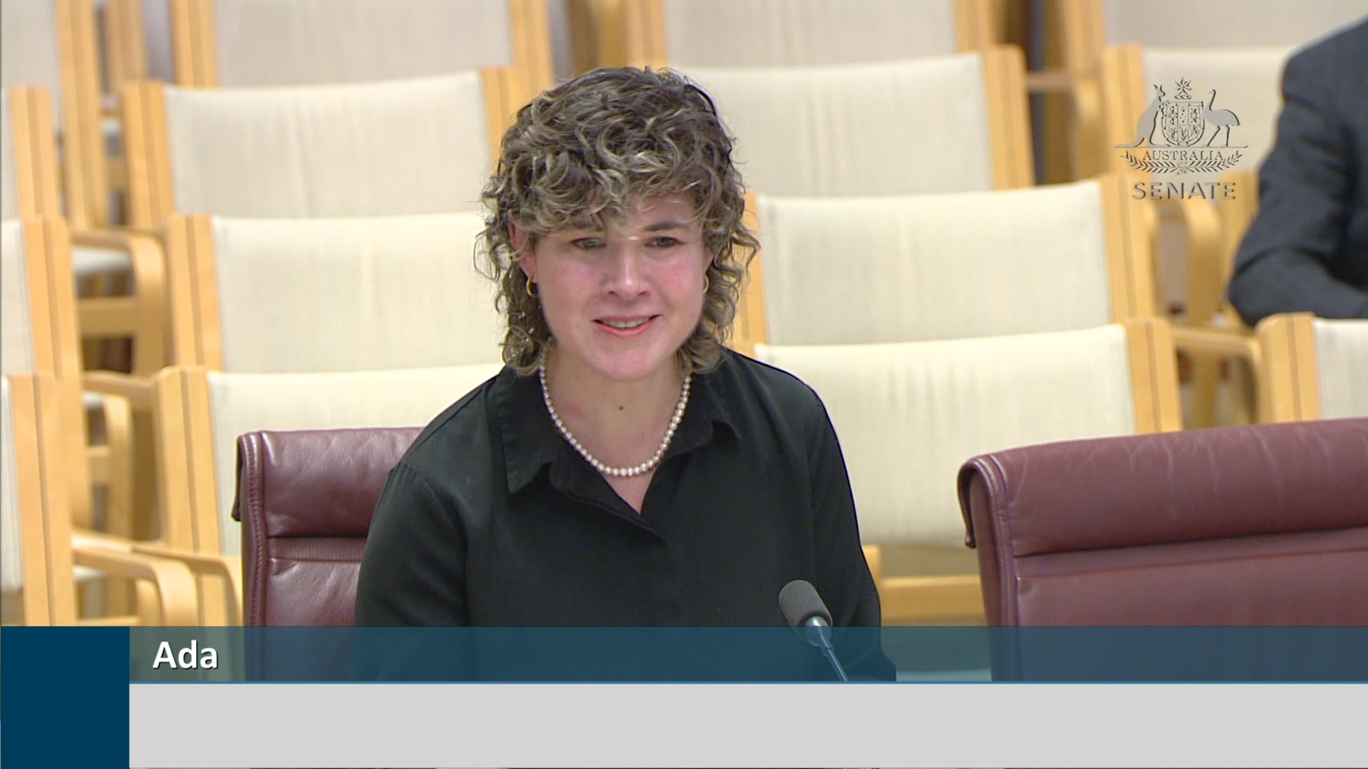 Public servant tells Senate hearing of her struggle to find a rental in ...