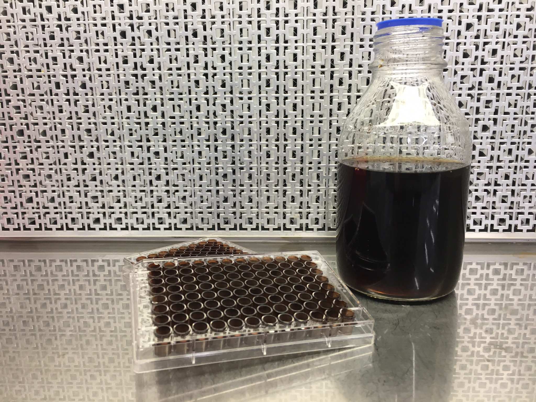 CSIRO scientists using primordial goo used to disguise medical implants ...