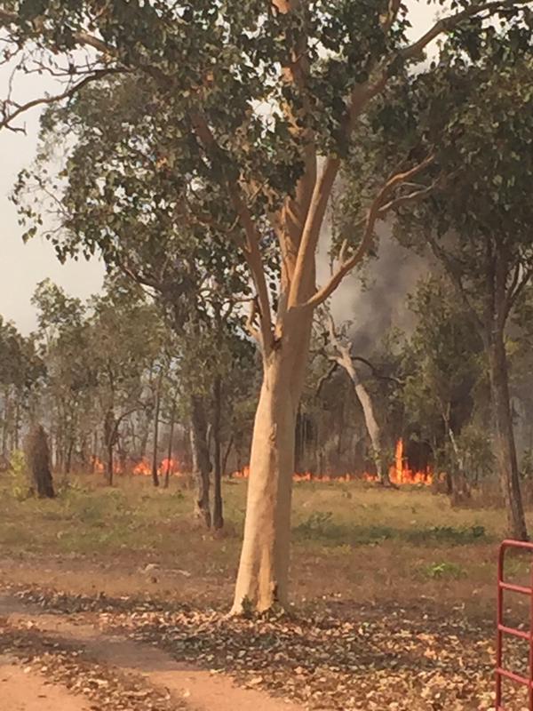 Bluewater - 4818 - Location - ABC News