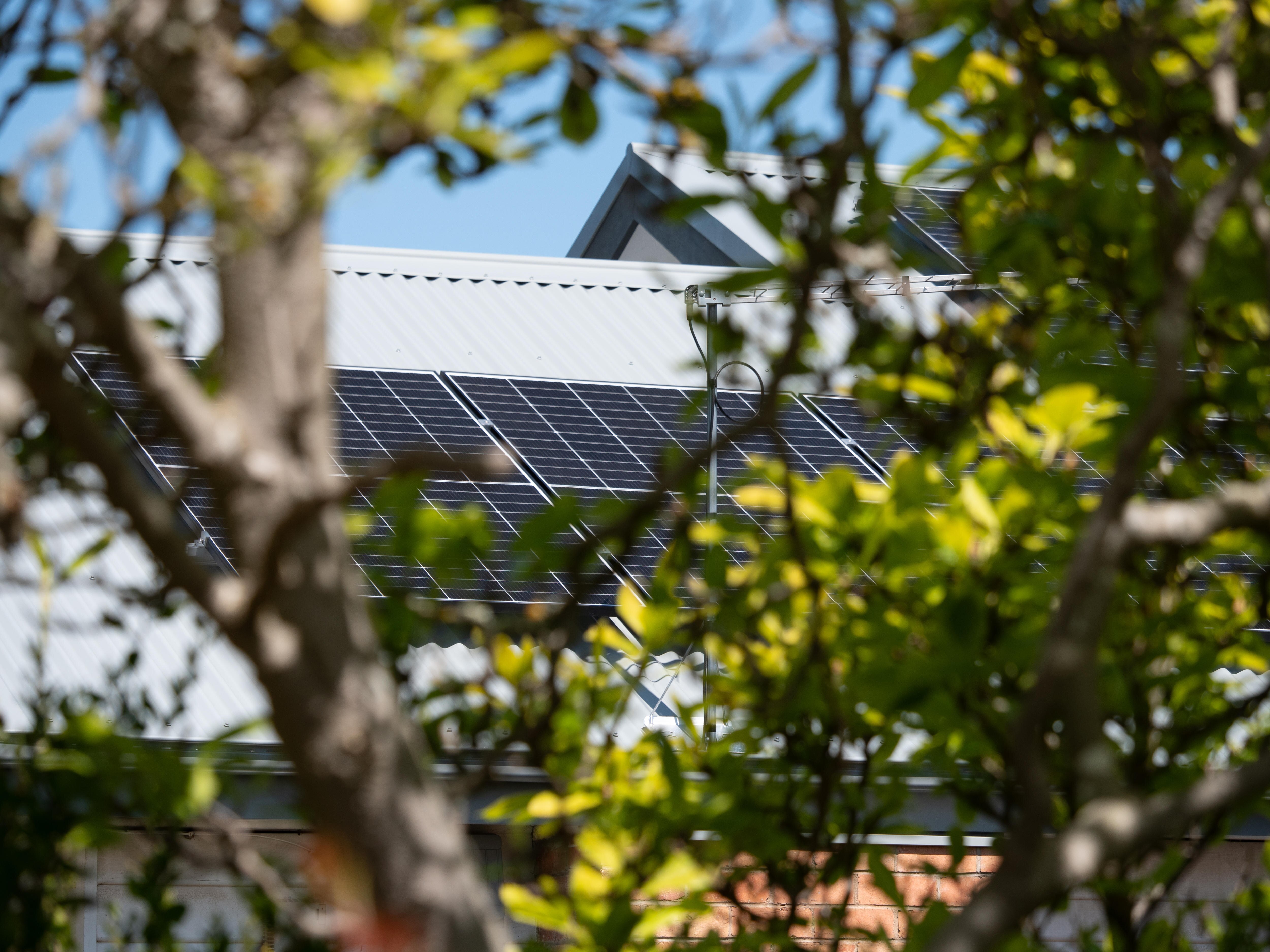 Consumer backlash sparks crackdown on complex and punishing power ...