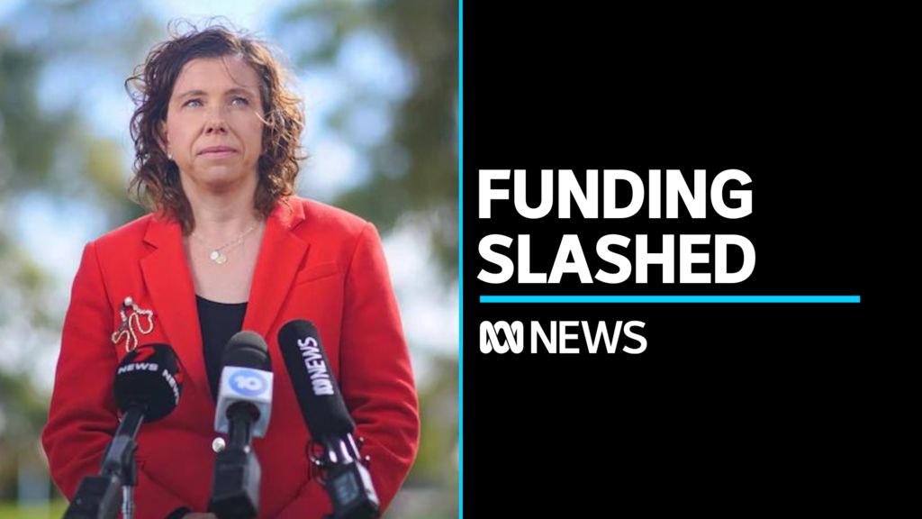 Government to shut down eight disability employment services - ABC News