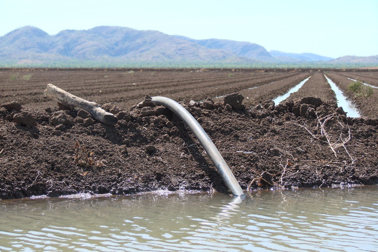 Ord water flows over new irrigation land - ABC News