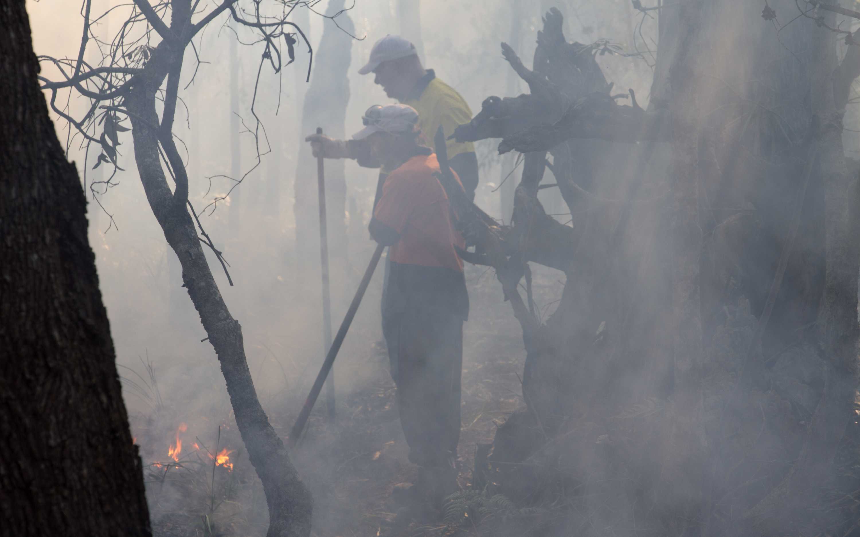 Indigenous fire methods protect land before and after the Tathra ...