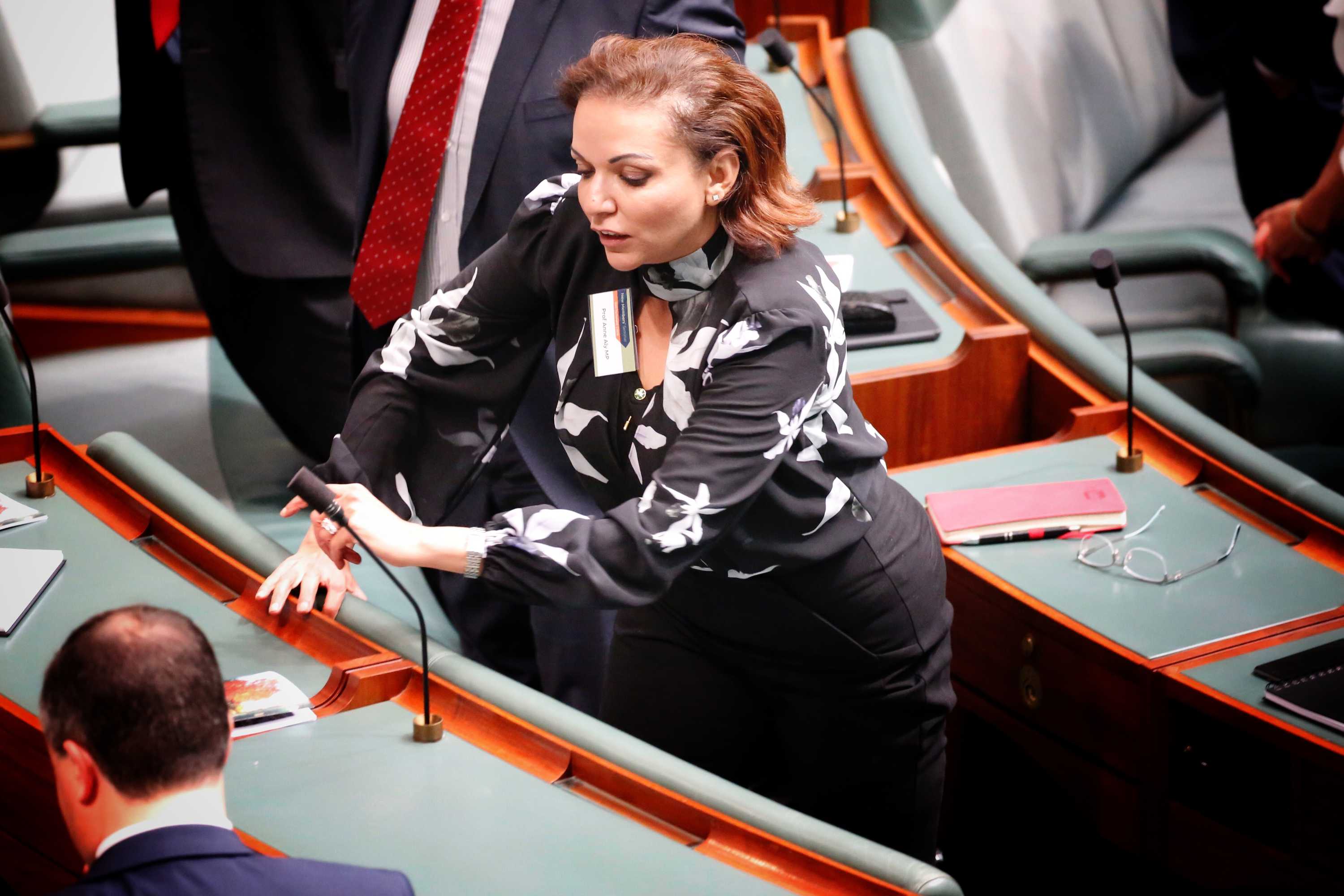 Anne Aly federal election 'smear campaign' warrants apology, WA Labor ...