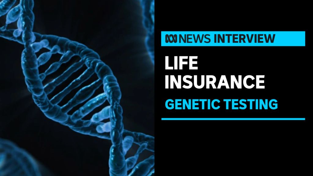 Health Insurance - Topic - ABC News