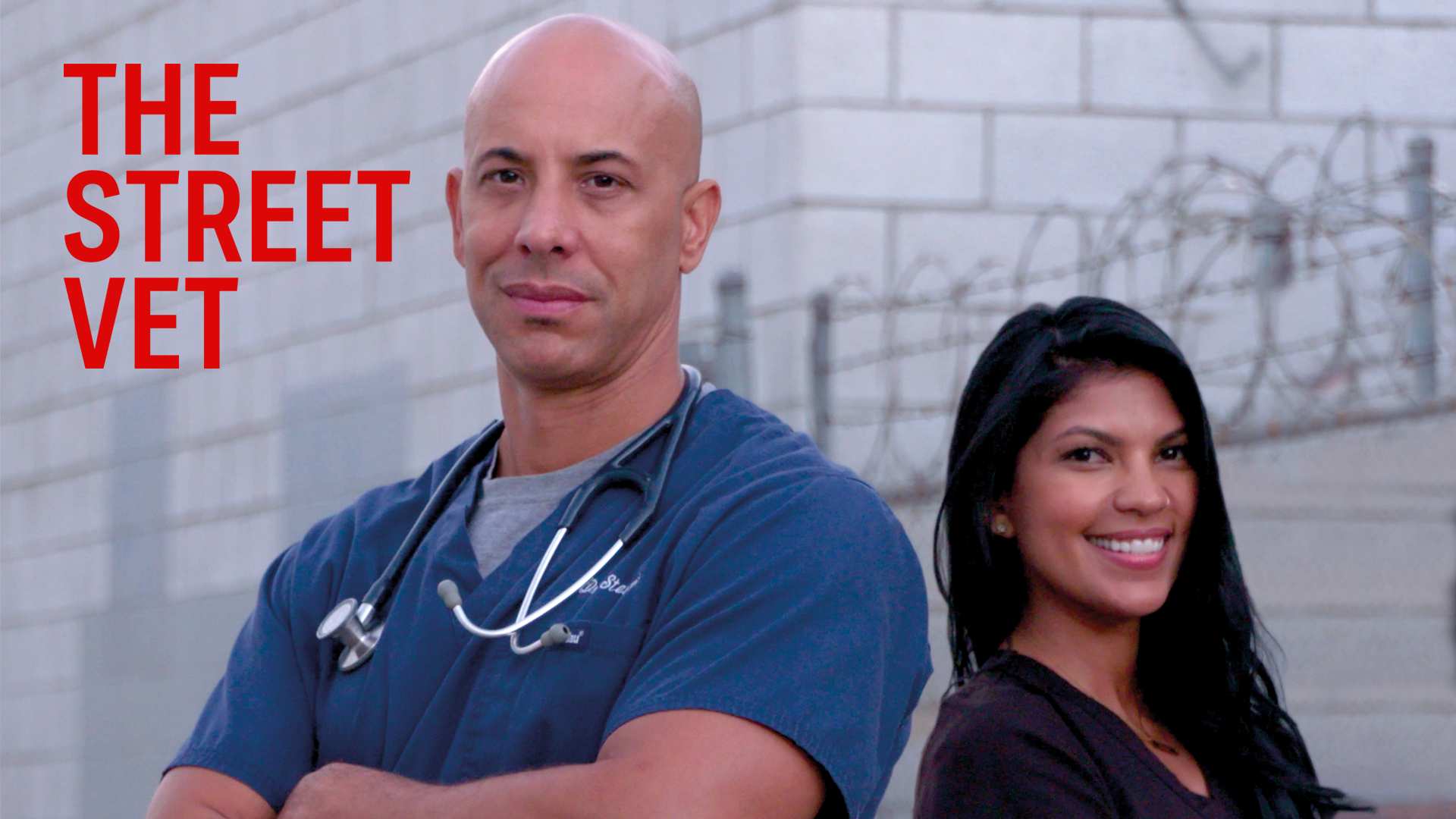 The Street Vet - ABC Content Sales