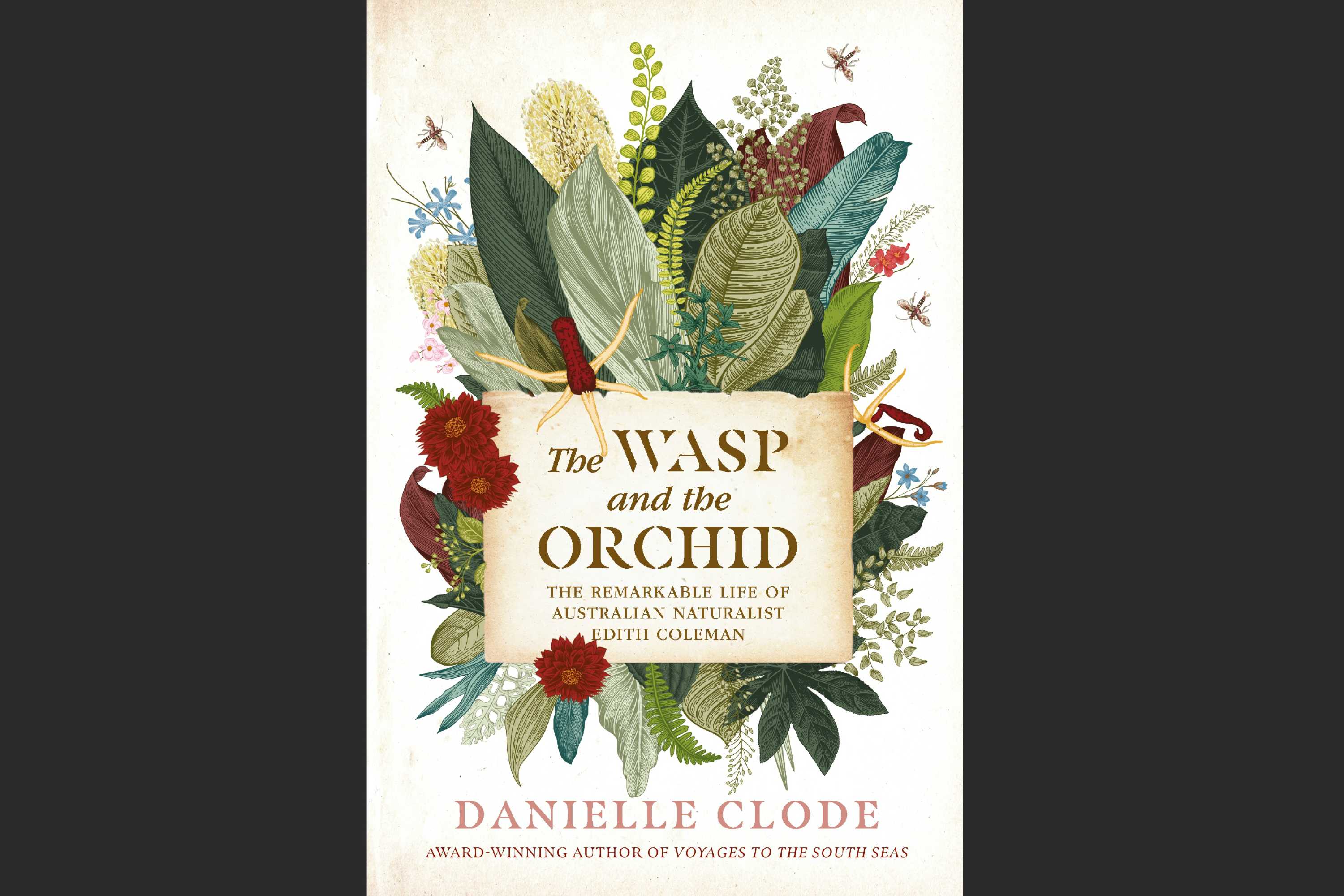 Riddle of wasps and orchids solved by amateur naturalist - ABC listen