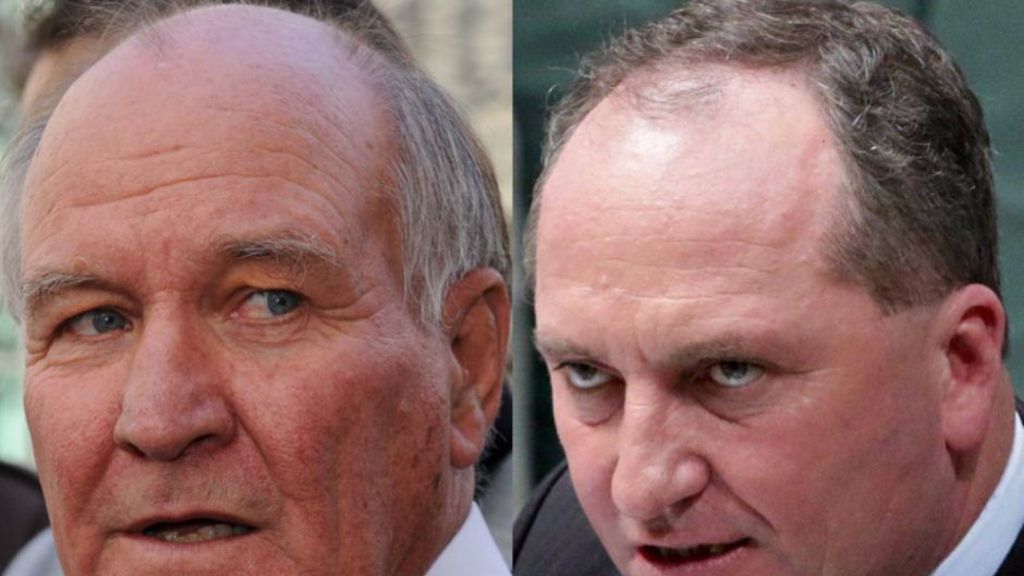 Former independent MP Tony Windsor announces intention to run for New ...