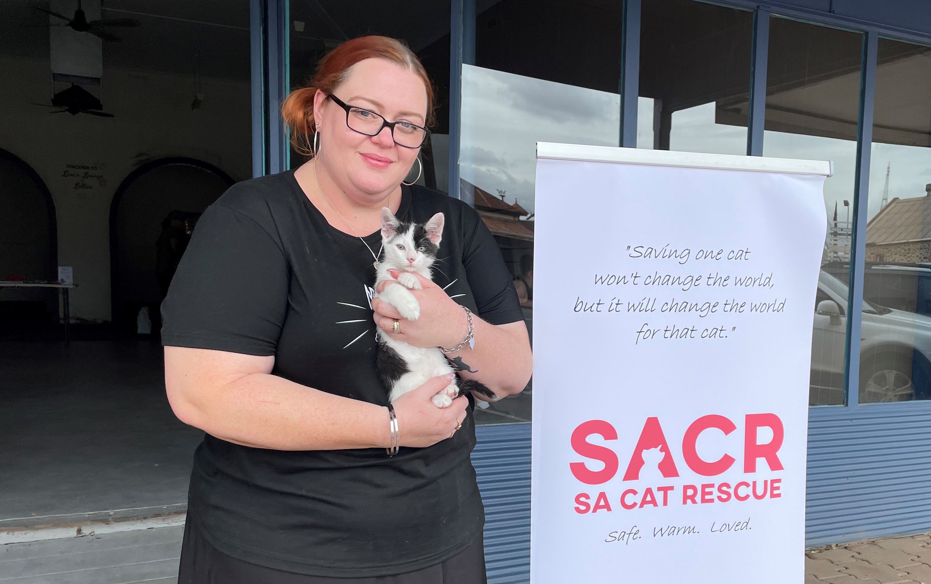 SA cat rescue volunteers urge owners to desex cats, surrender pets ...