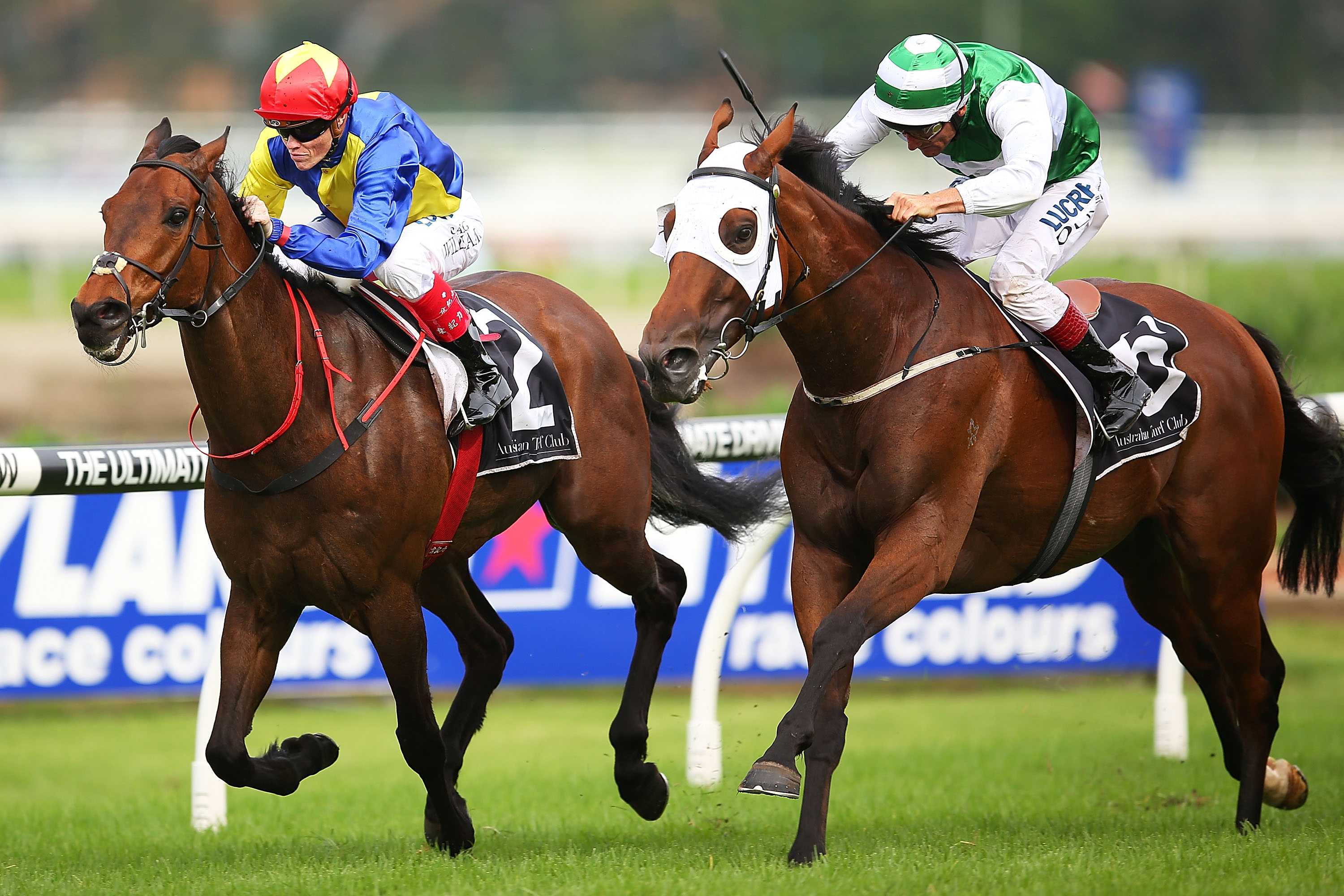 Gordon Lord Byron wins George Ryder Stakes for trainer Tom Hogan and ...