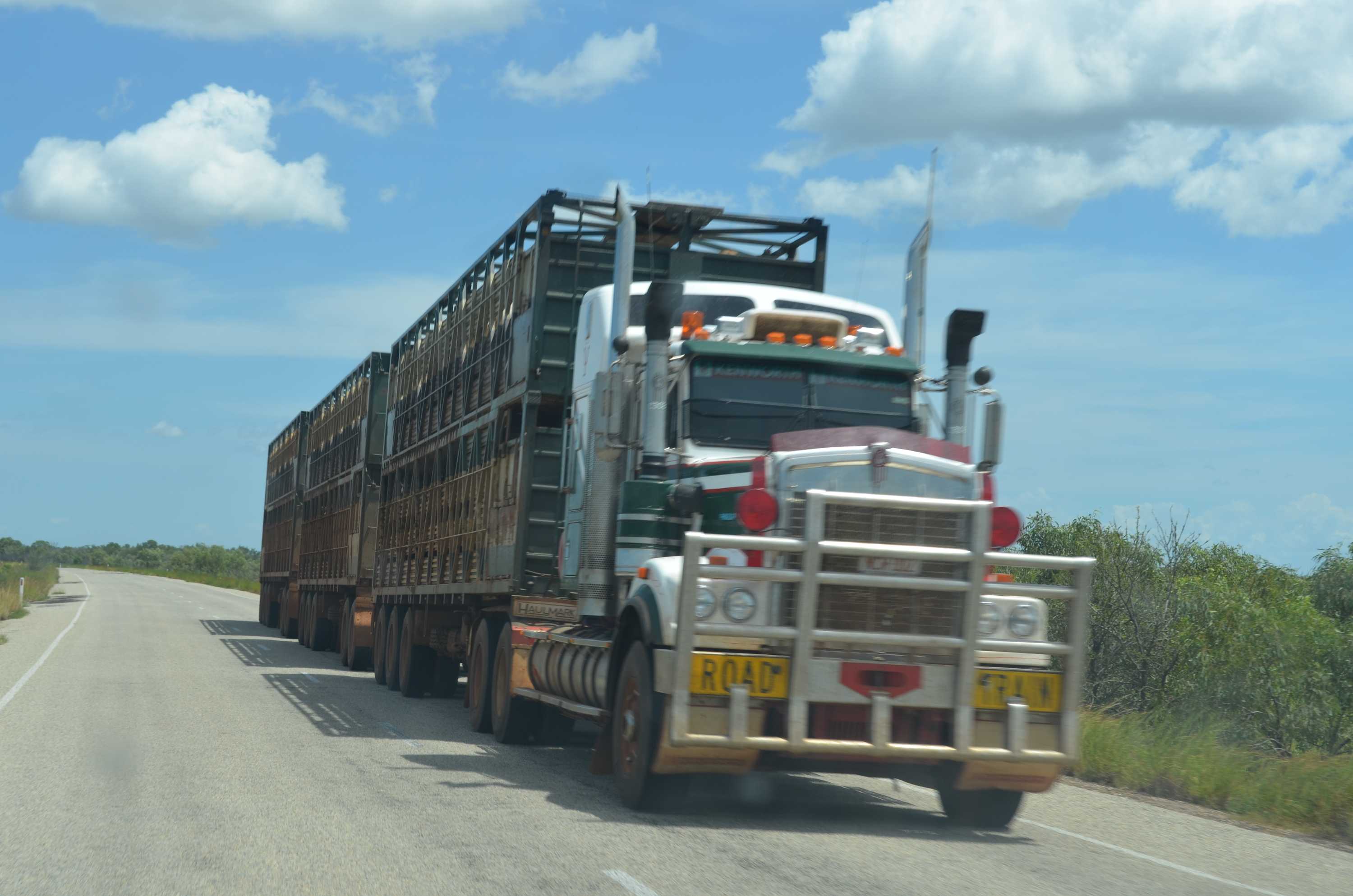 Bush businesses welcome export cattle boom - ABC News