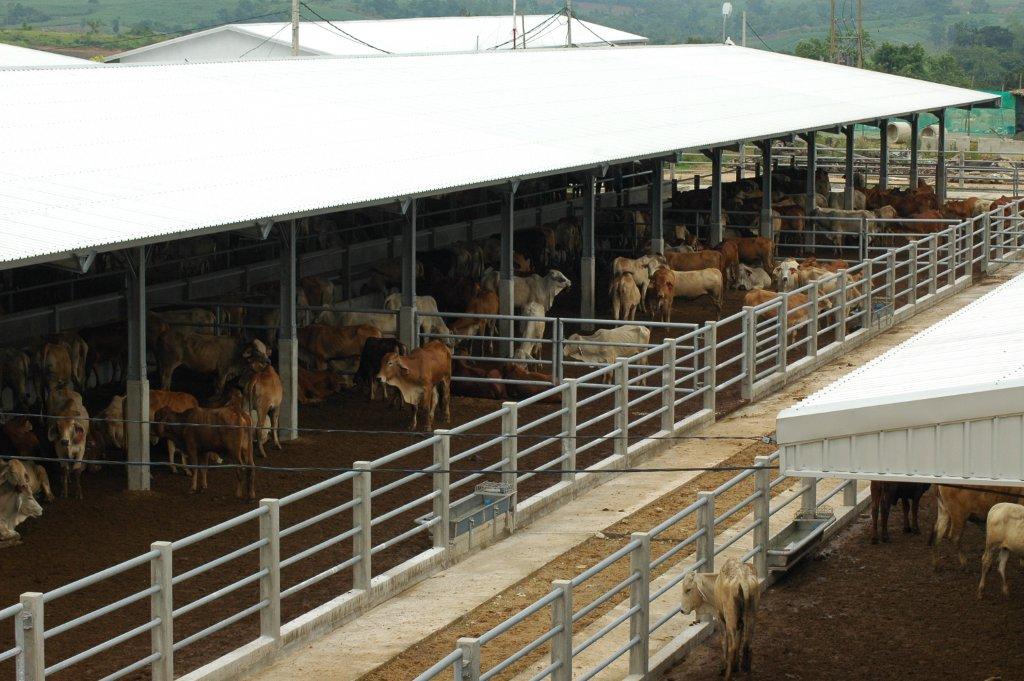 Vietnamese agricultural complex ready to start processing first ...