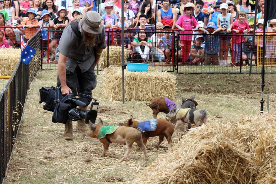 Royal Canberra show: Pretty pollies, proud pooches reign supreme - ABC News