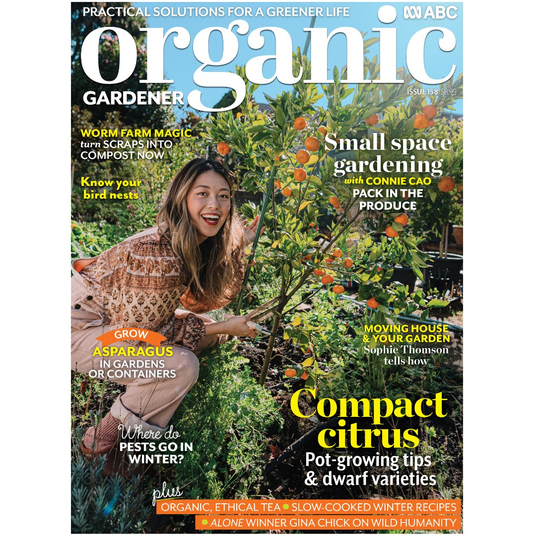 ABC Magazine Subscriptions - ABC Shop