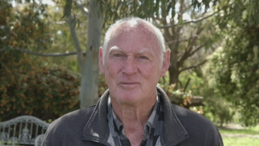 AFL grand final: Footscray hero Don Ross recalls 1954 flag ahead of ...