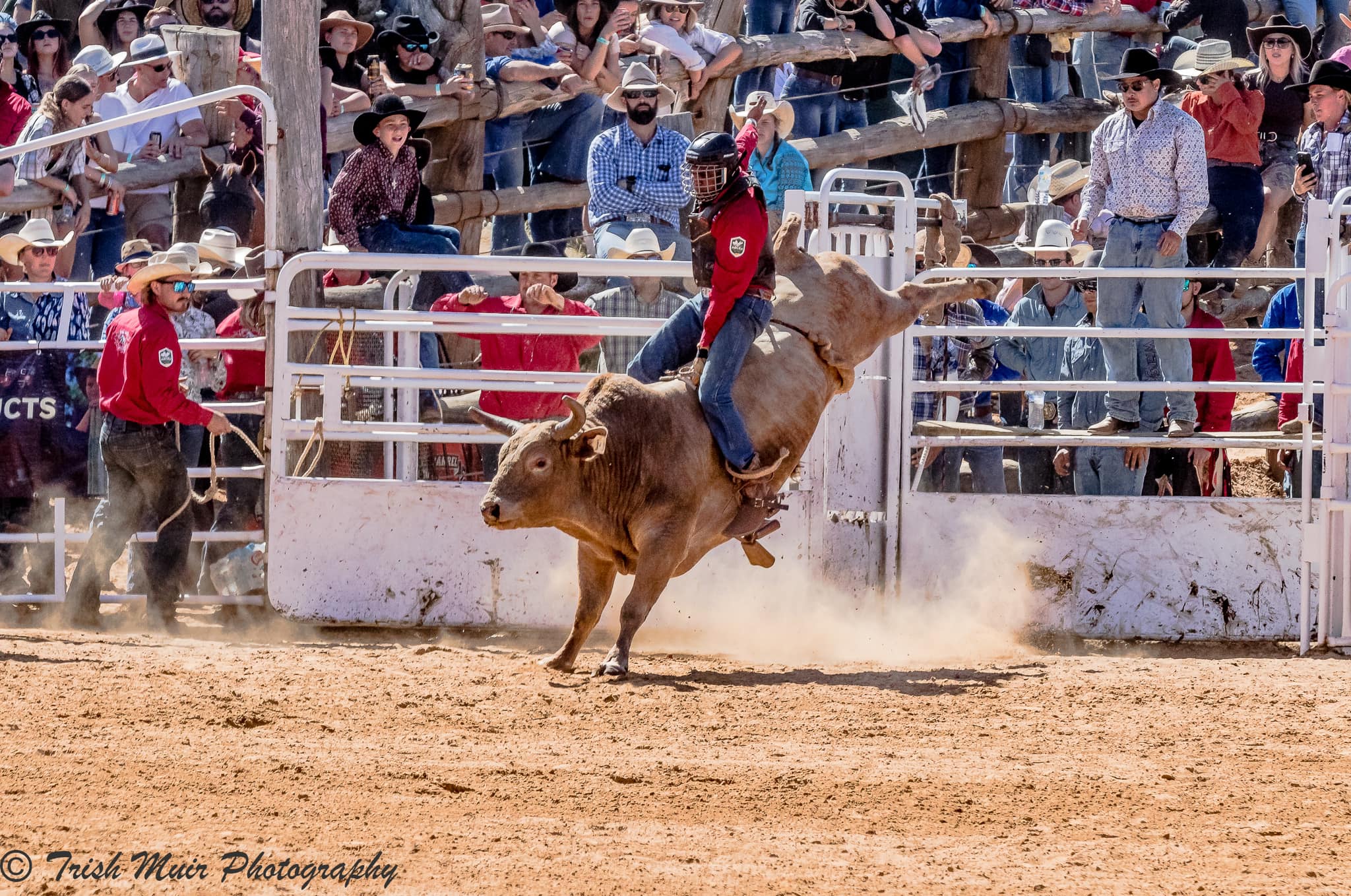Elvis Presley, Johnny Cash and country music relics fill Harvey Dickson ...