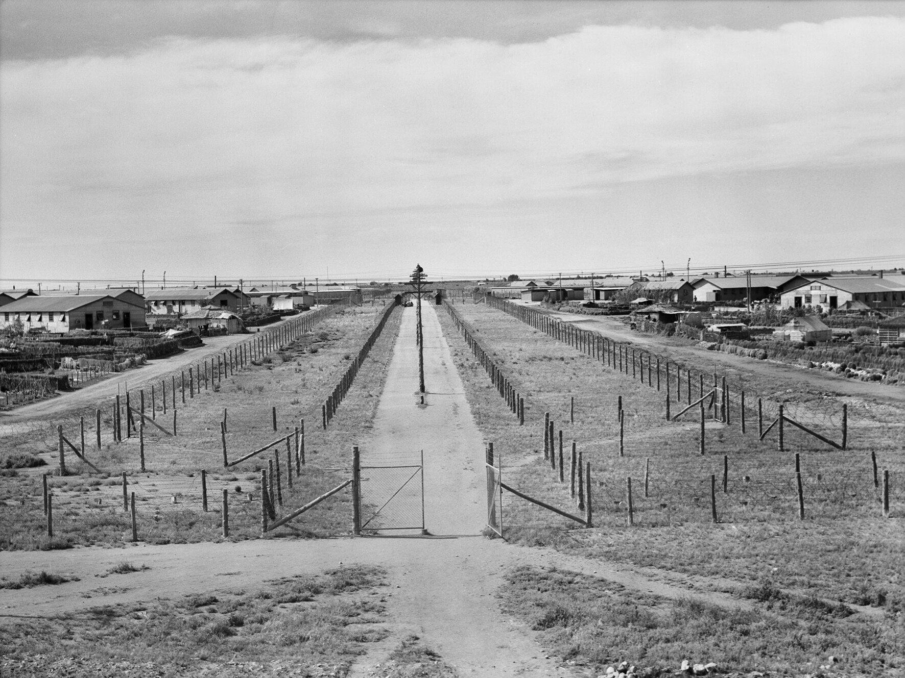 Translated diary reveals WWII Japanese internee's experience in South ...