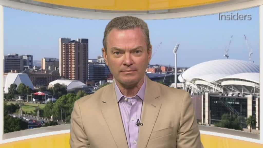Christopher Pyne joins Insiders - ABC News