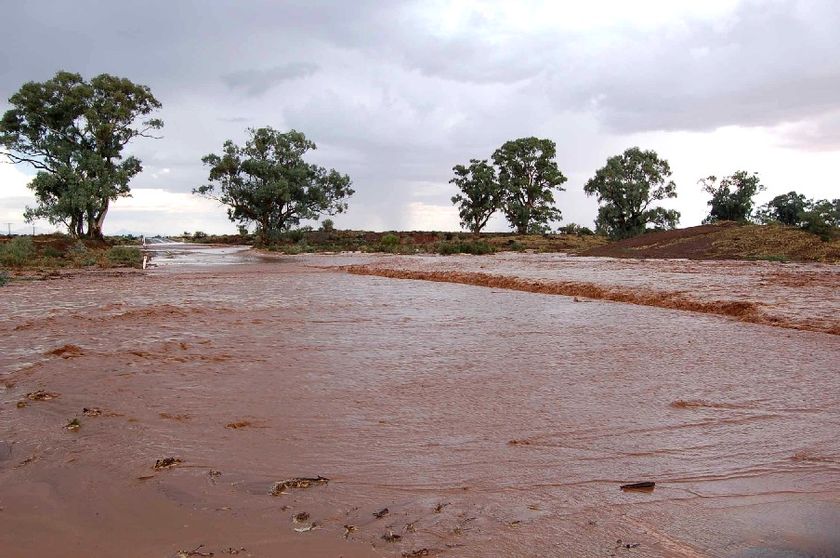 Outback floods warrant disaster funds: station owner - ABC News