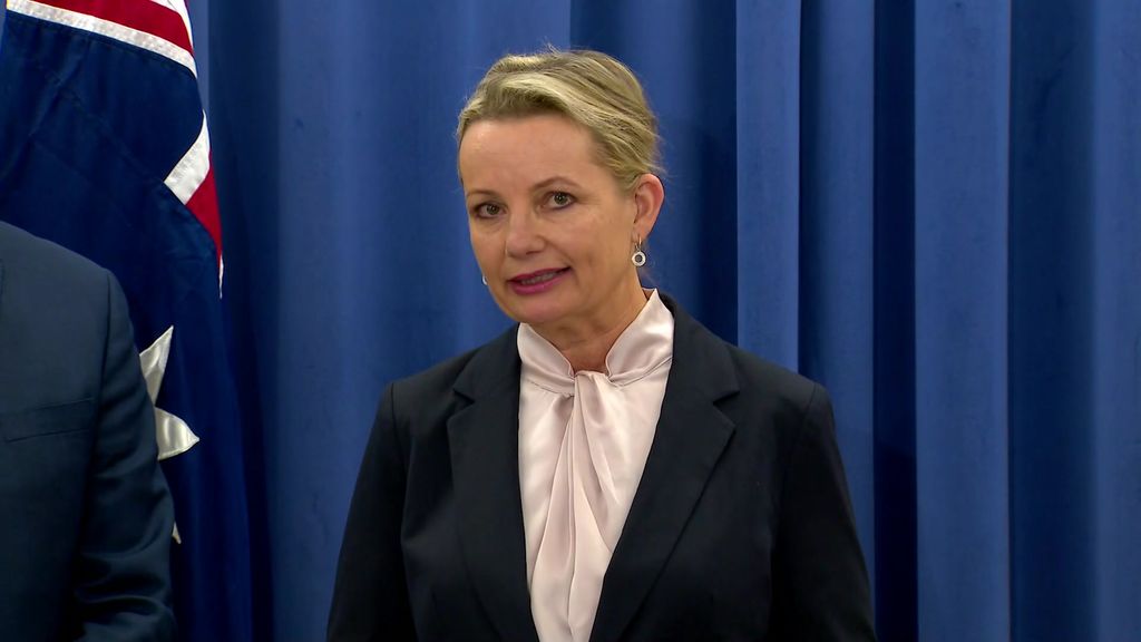 Liberal Deputy Leader says her party determined to earn back women's ...