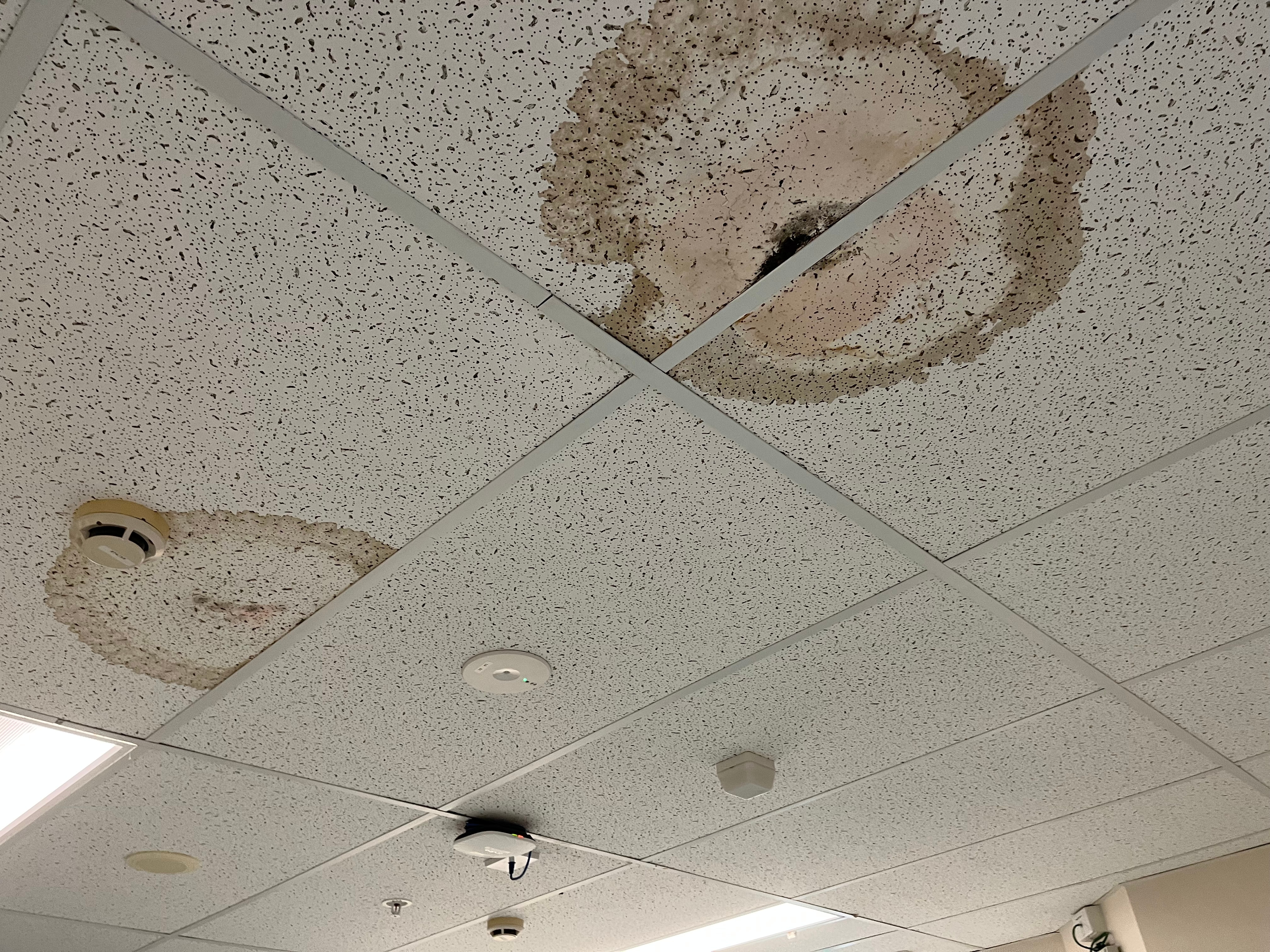 Kerrin Thomas - ABC News