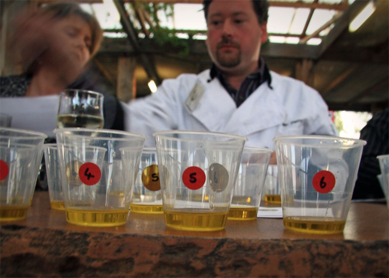 Getting the good oil - ABC News