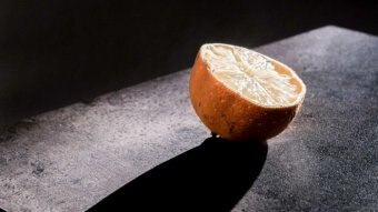 Files on murder of 'Fat Joe' Versace, believed to be early mafia ...