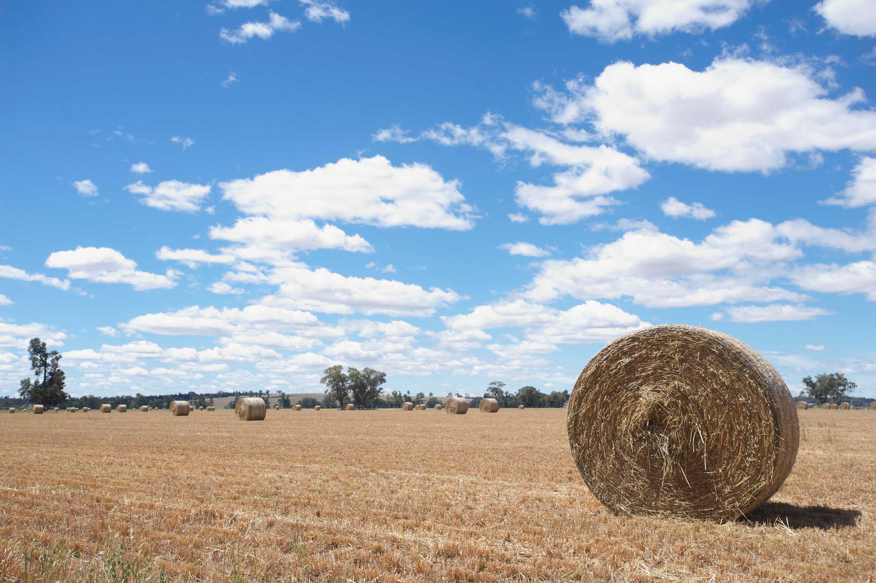 Climate change in NSW: New projections reveal likely local impacts of ...