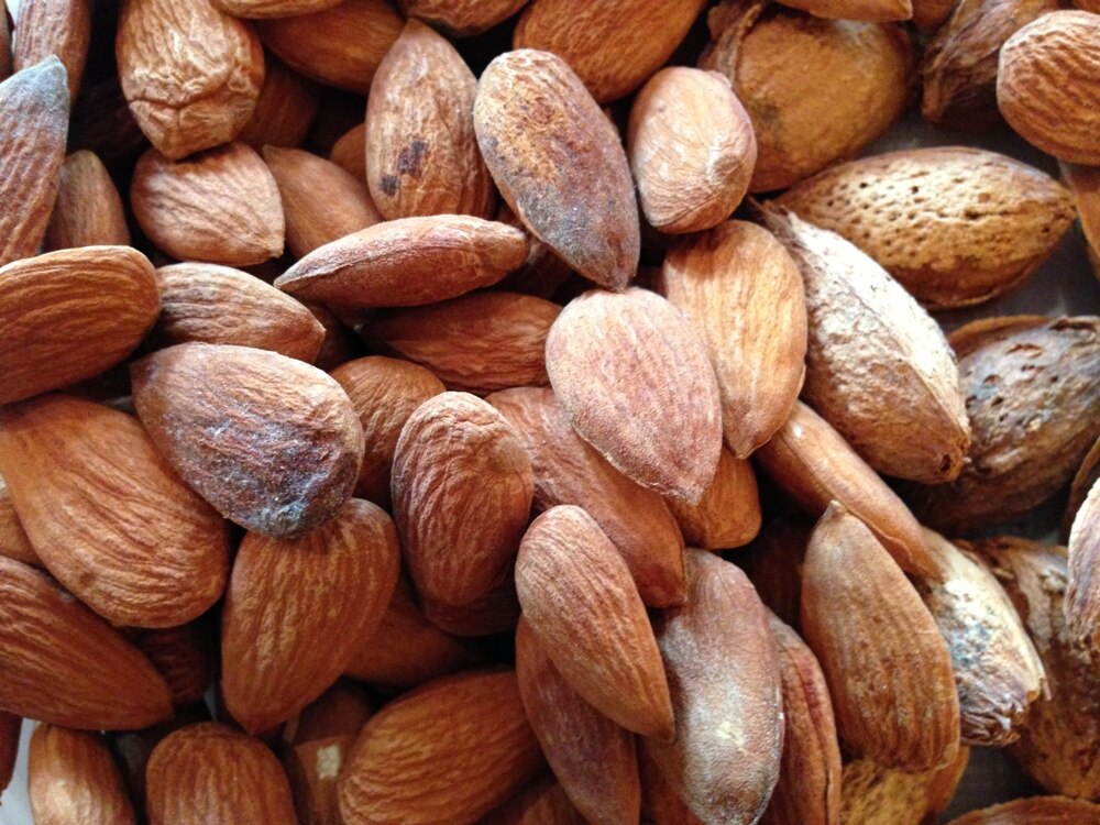 Almond growers reap strong profits - ABC News