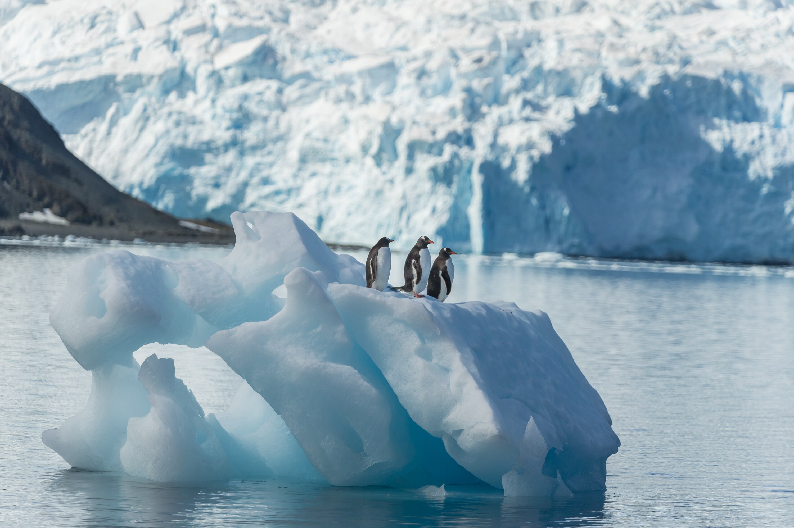 Gormandale local explores Antarctica - ABC listen