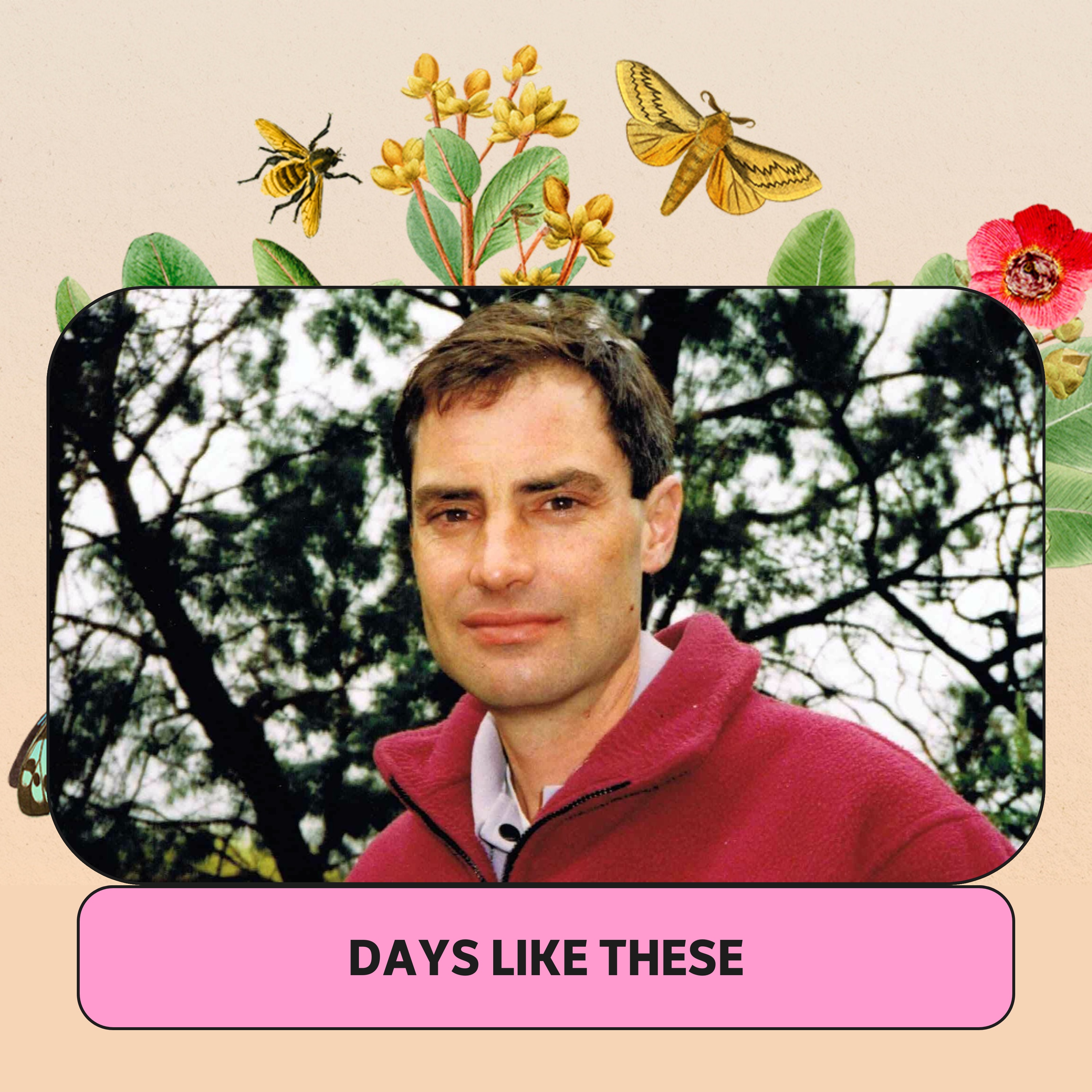 Geoff takes on the world's tallest Christmas tree - ABC listen