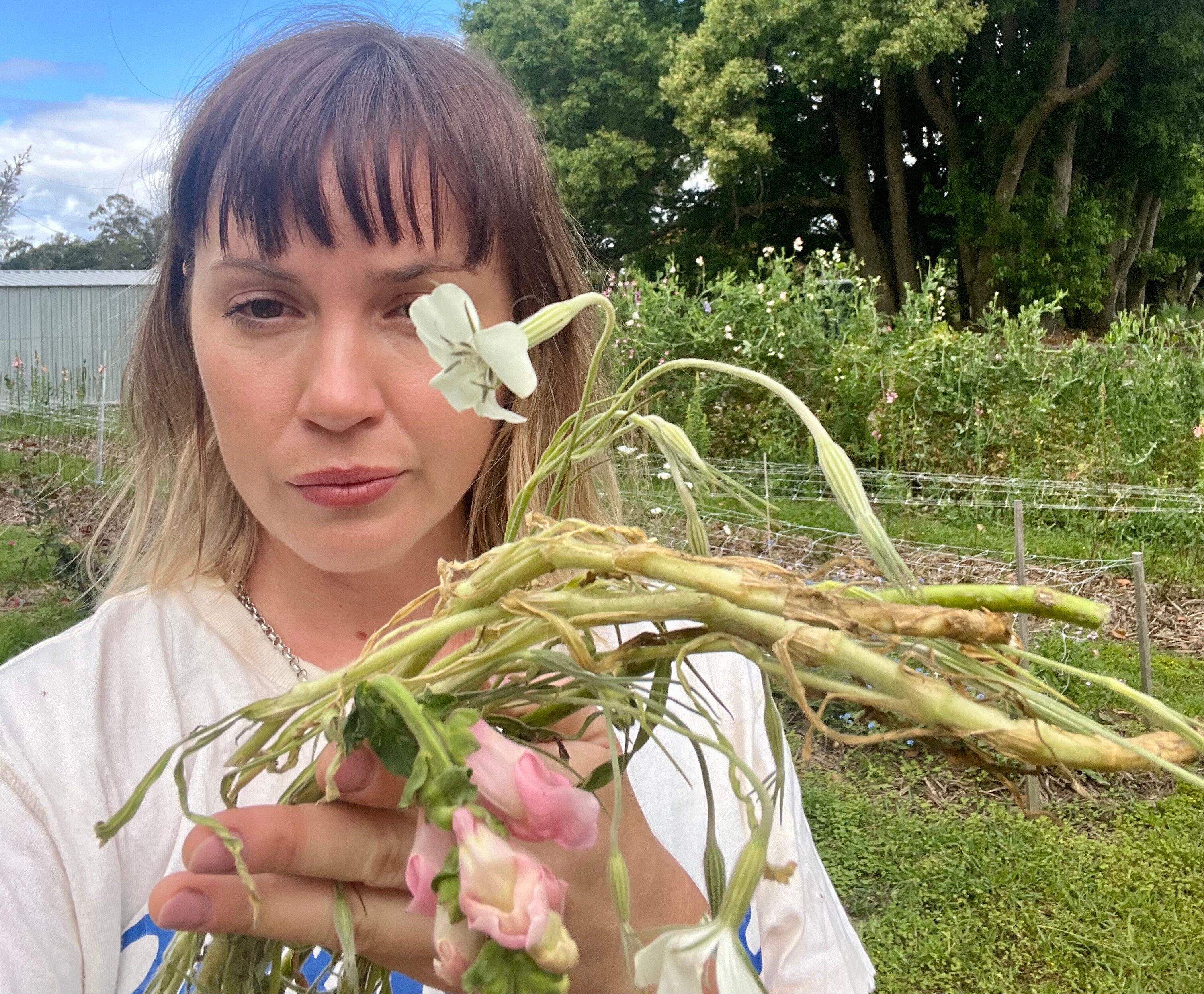 Flower farmers infuriated by 'creepy' overnight raids on their garden ...