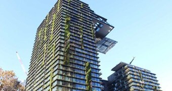 Sydney and Melbourne going green despite uncertainty over future of ...