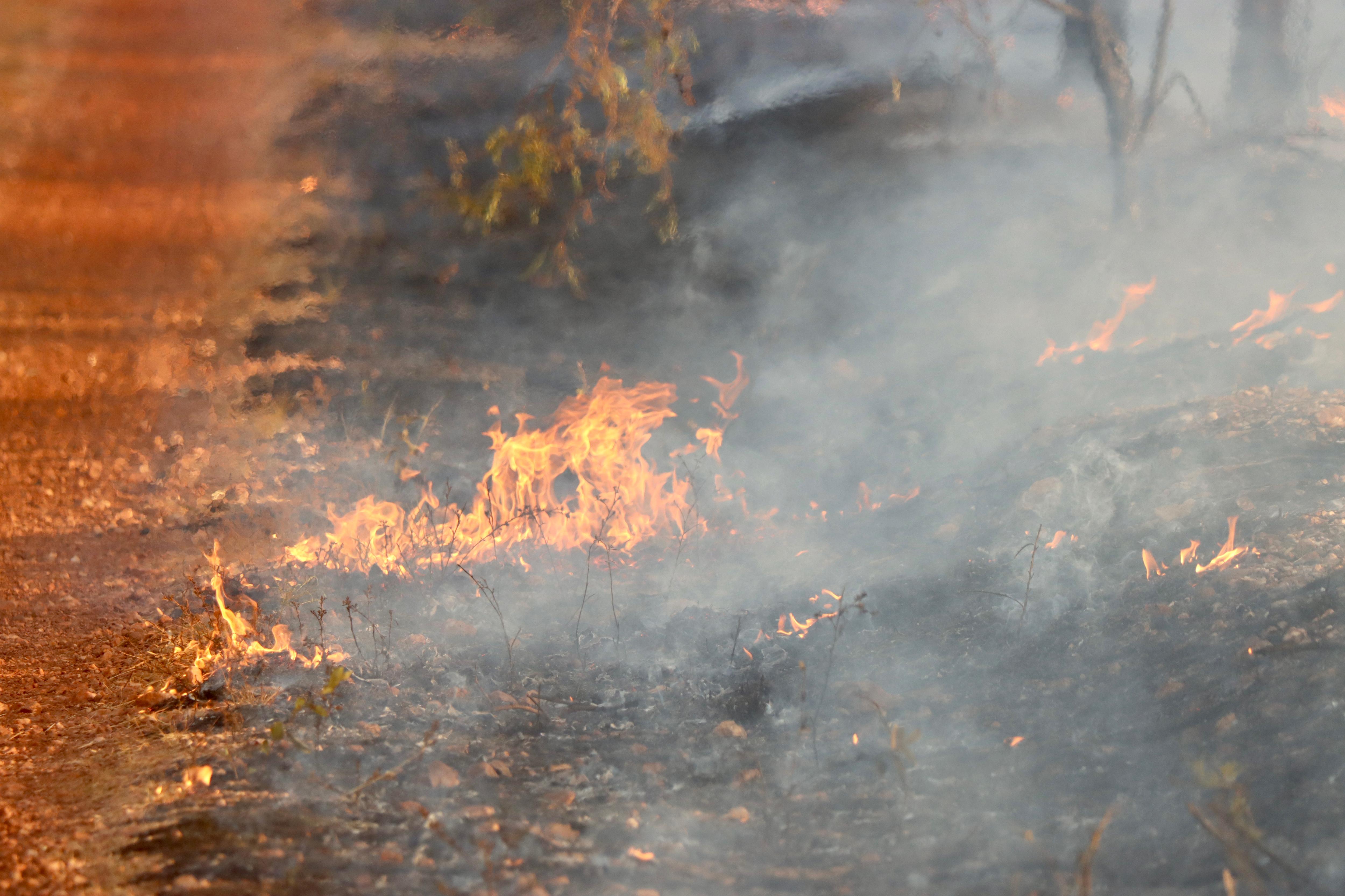 Darwin bushfire that destroyed 650 hectares believed to be 'deliberate ...