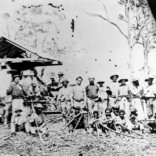 Exhibition paints picture of South Sea islanders' contribution - ABC News