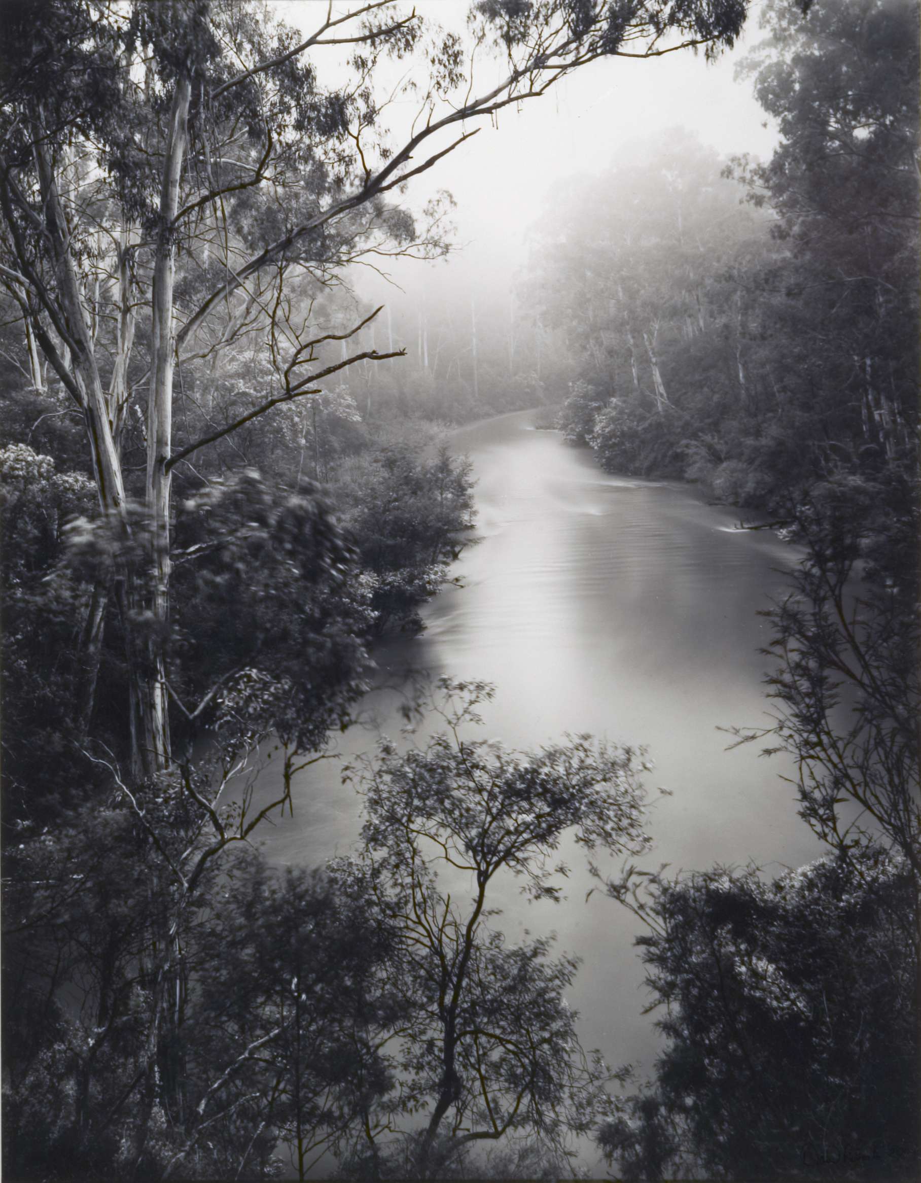 David Roberts and the art of intrepid photography - ABC listen