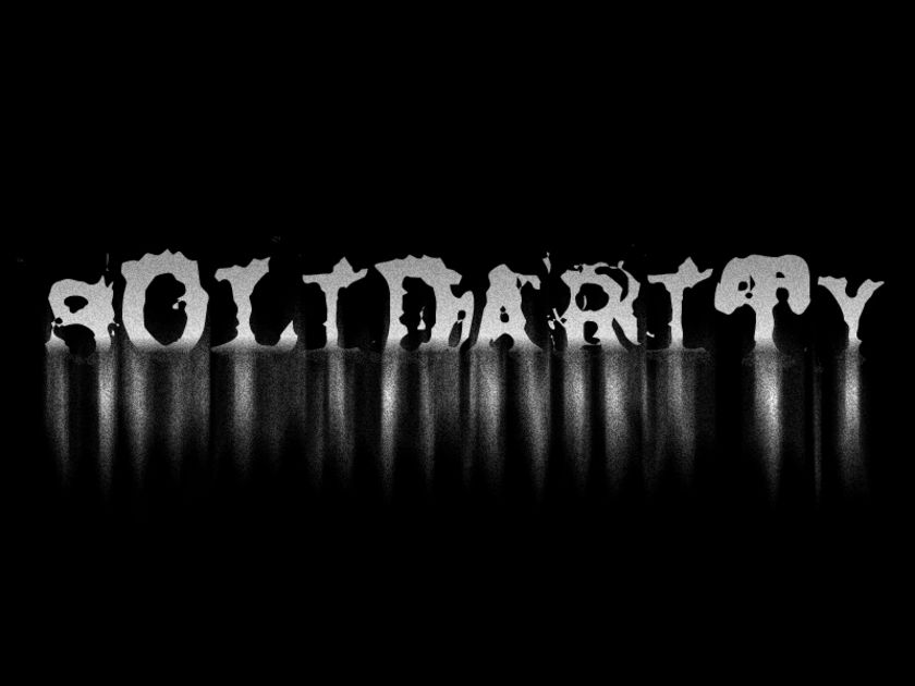 Is strict political solidarity such a good thing? - ABC News