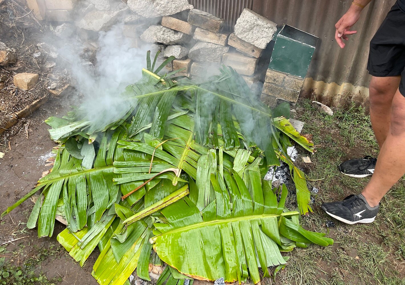 Cooking an umu, Queensland style, keeps Samoan culture alive - ABC News