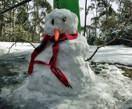 Snowmen spring back to life in southern cold snap - ABC News