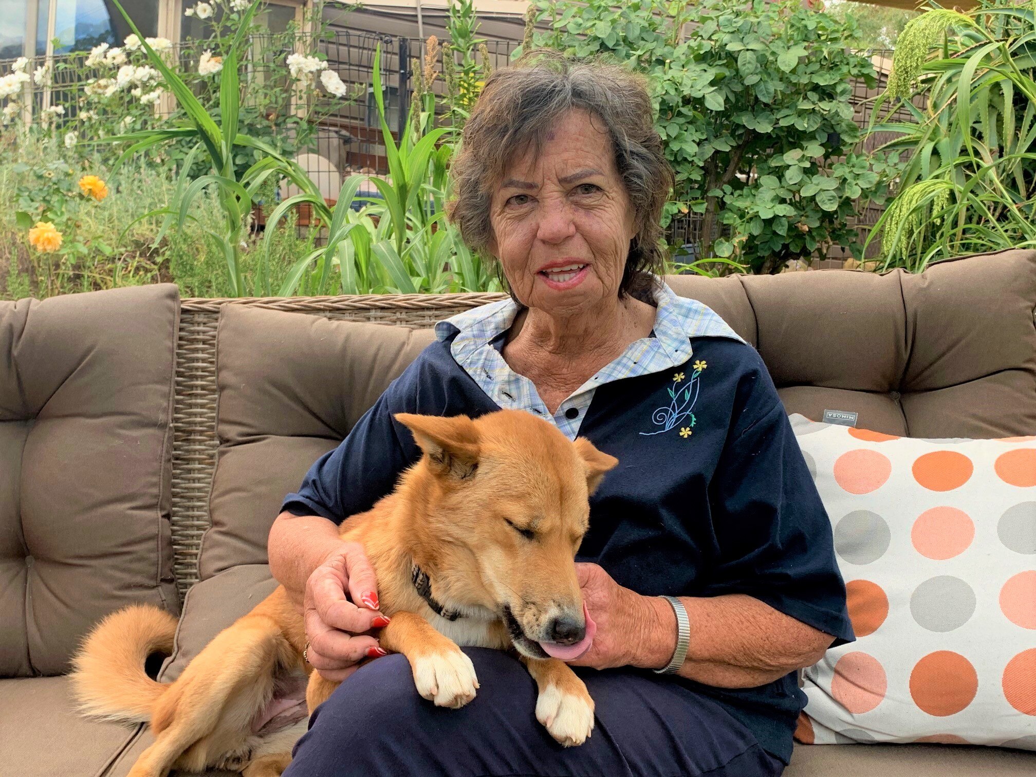 Animal tourism in central and northern Victoria strengthens native ...