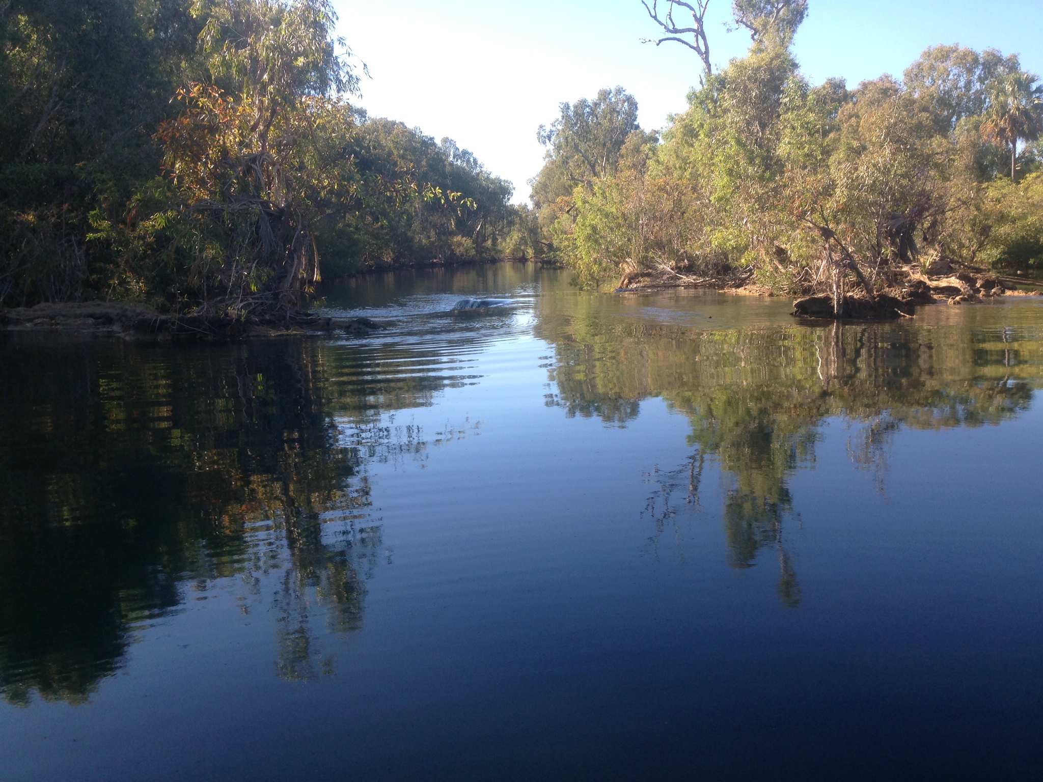 Indigenous rangers face uncertain future - ABC News