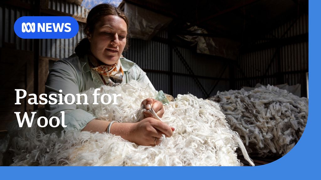 A passion for wool - ABC News