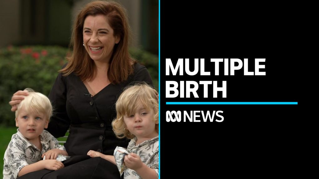 NSW Government moves into caretaker mode in lead-up to state election ...