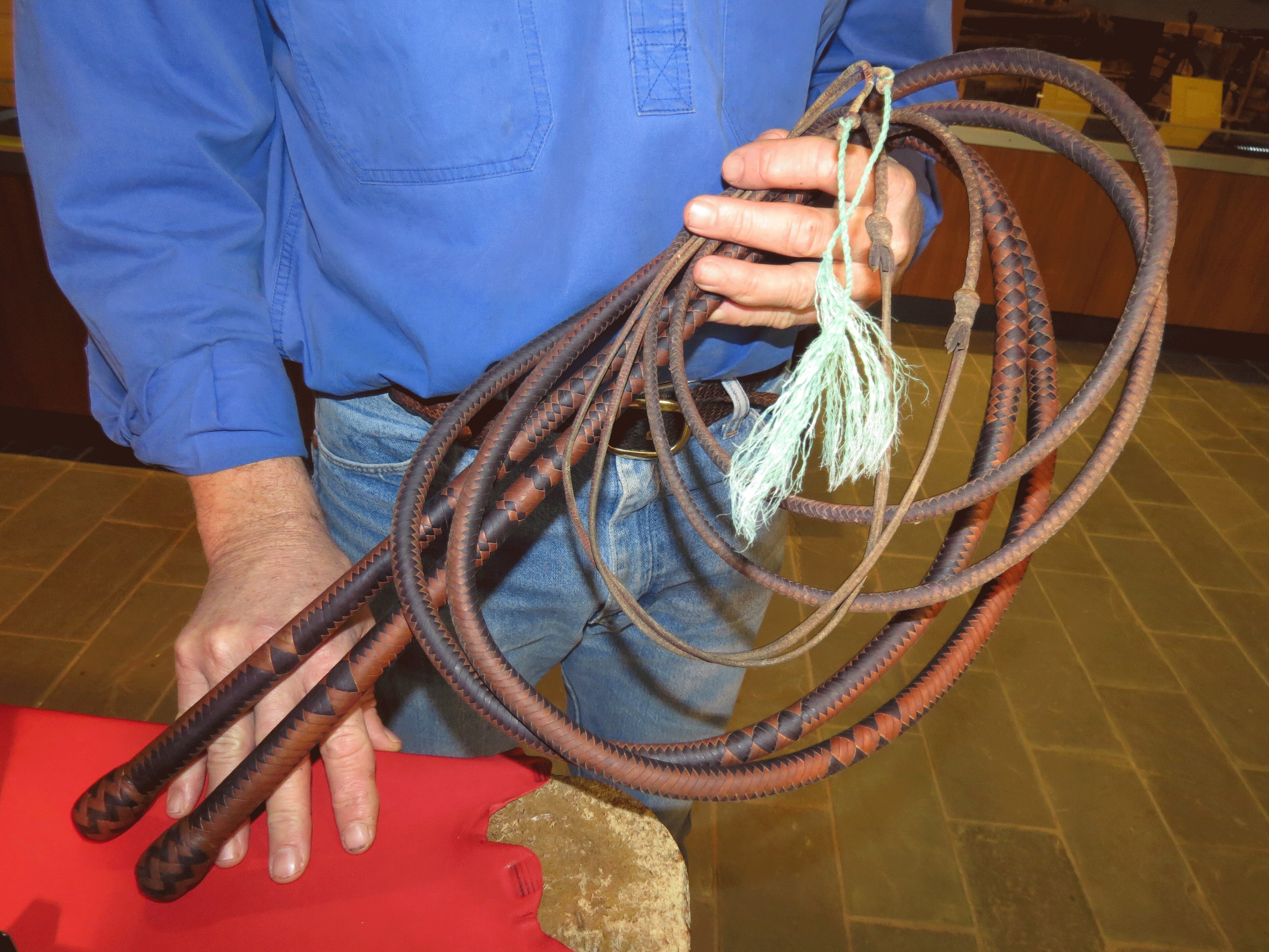 Whip-cracking at Sydney Royal Easter Show, preserving a national ...