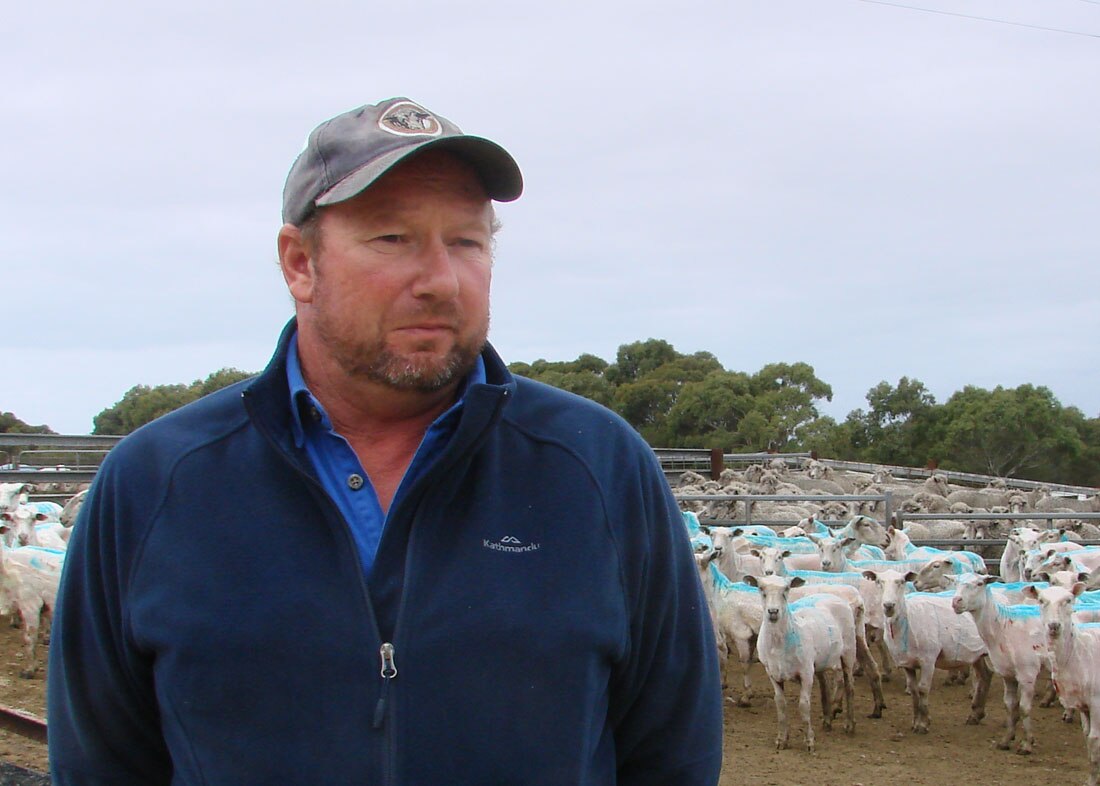 Flinders Island's largest farm embraces the new - ABC News