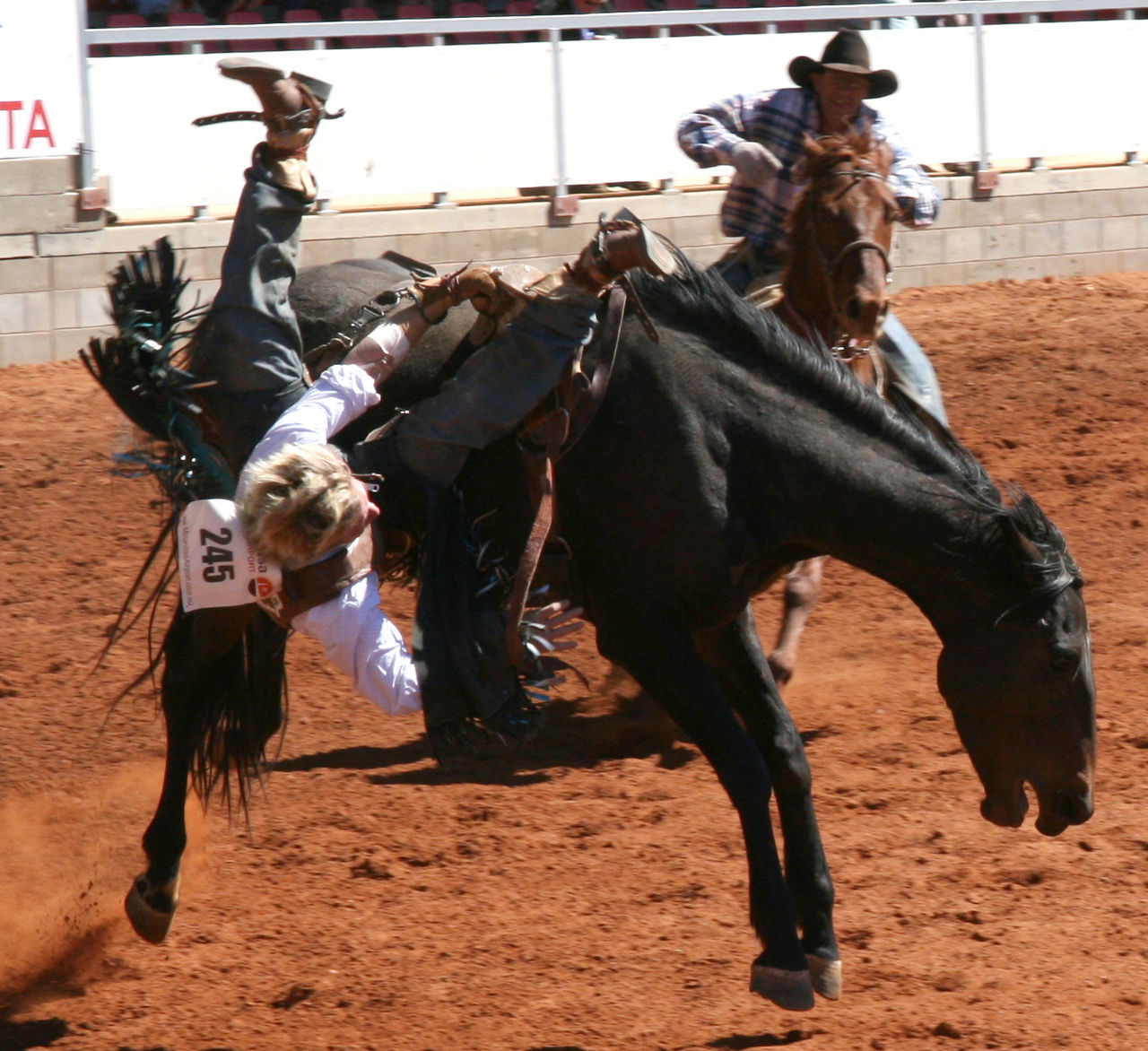 Riders saddle up for rodeo glory - ABC News