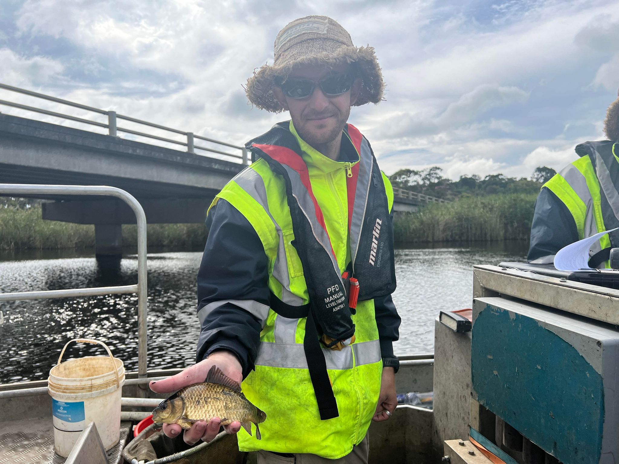 Electrofishing allows aquatic experts to count fish in the Curdies ...