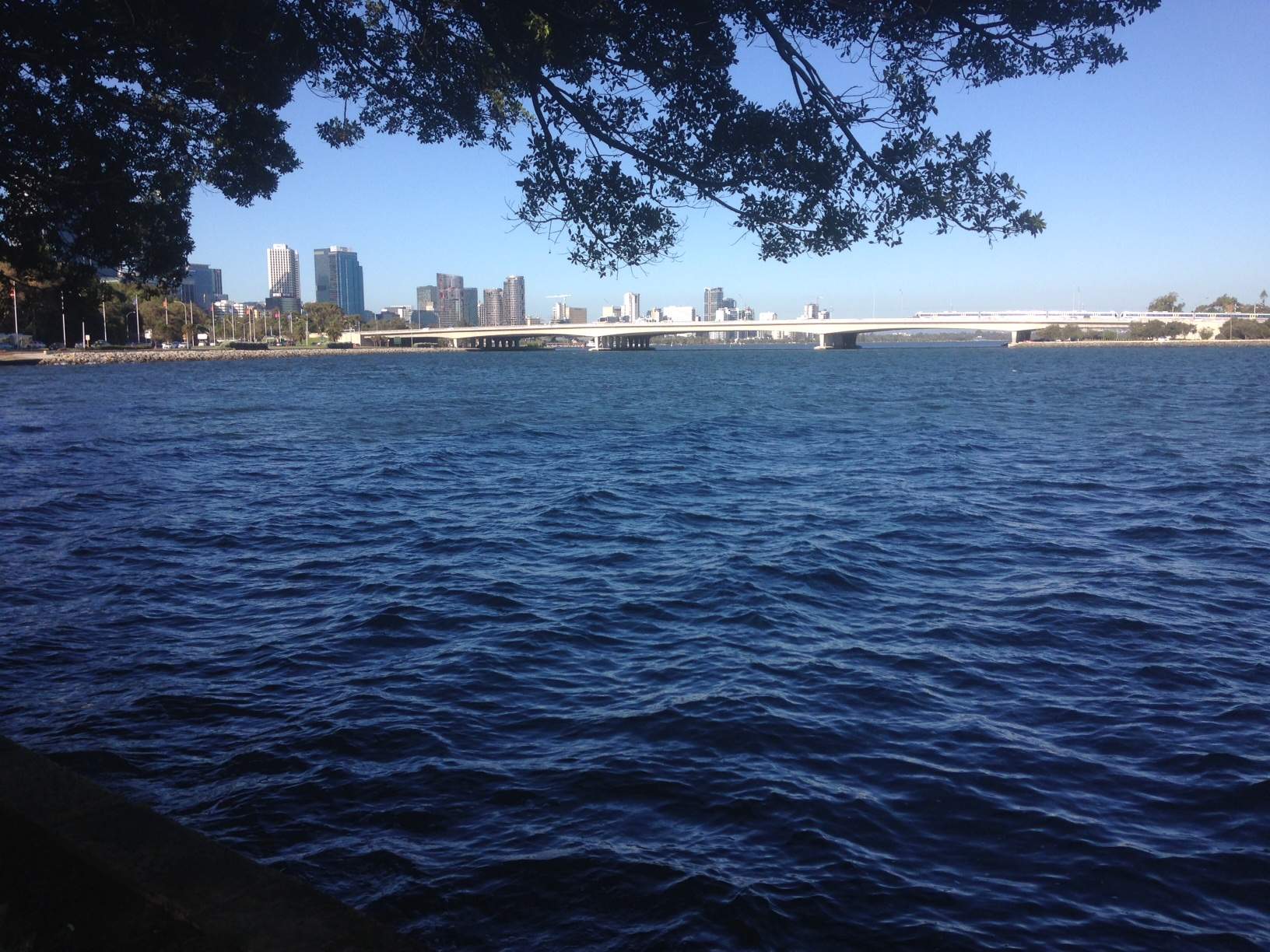Swan River toxic algae concerns on Perth's doorstep spark warning over ...