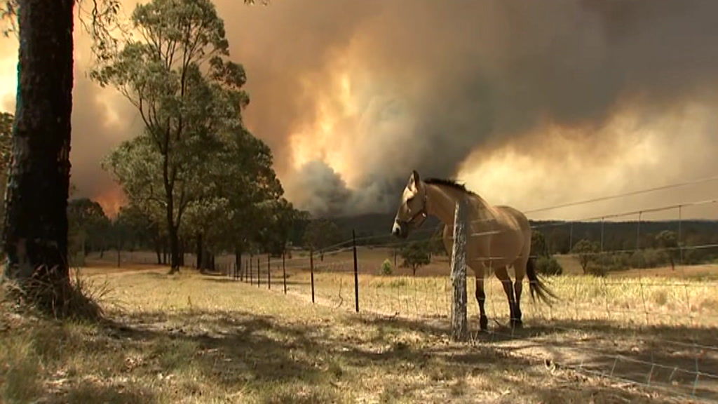Bushfire emergency declared near Hillville - ABC News
