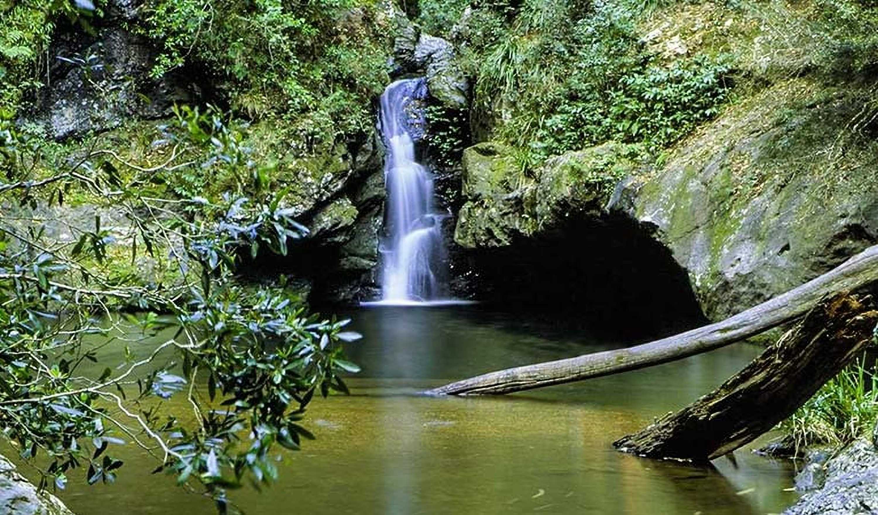 Teenager dies while swimming at Potoroo Falls, Mid North Coast's ...